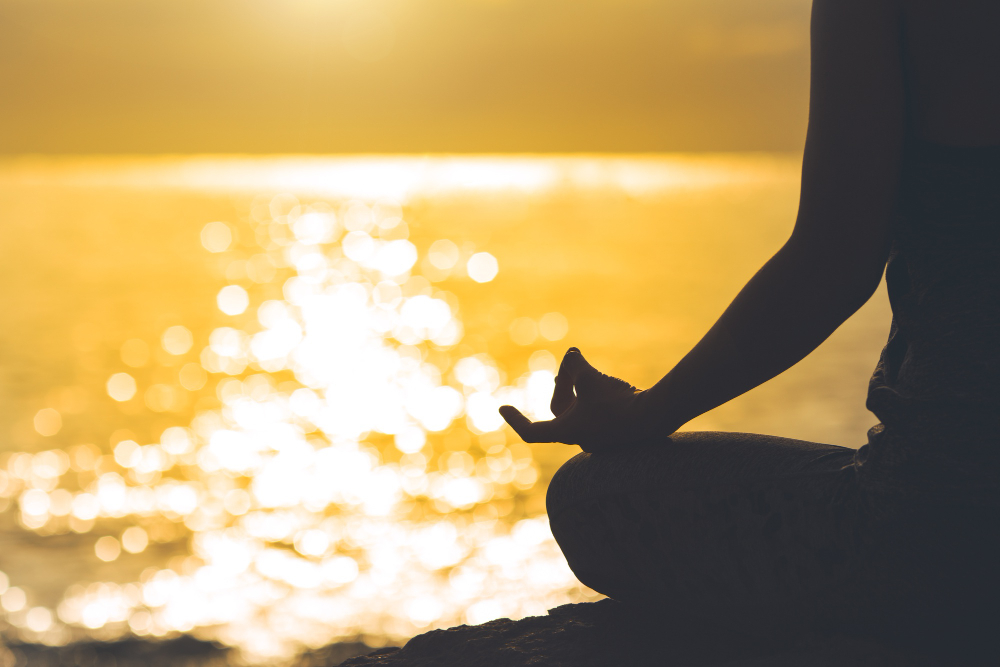 مشيني - جولات